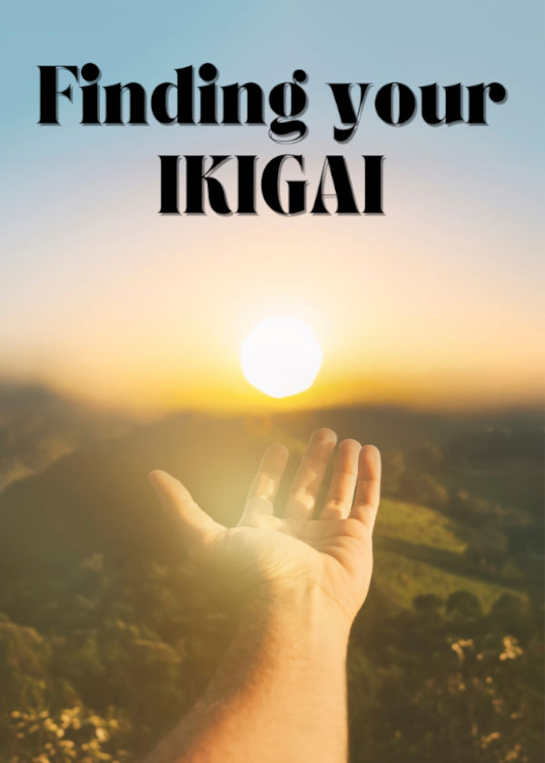 AOSM | Art of Self-Maximization - Better Careers | Better Lives ...