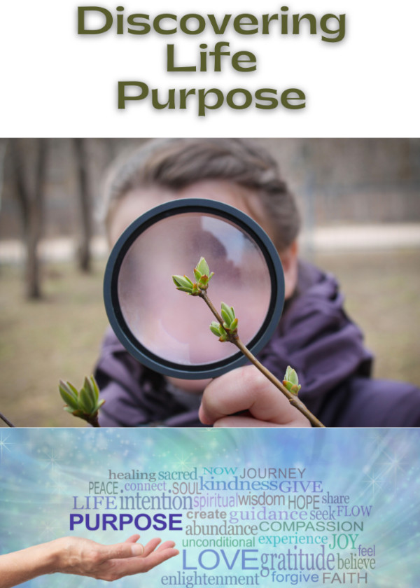 AOSM | Art of Self-Maximization - Better Careers | Better Lives ...